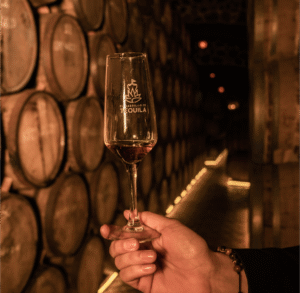 Tours y Experiencias Tequileras | El Castillo de Tequila