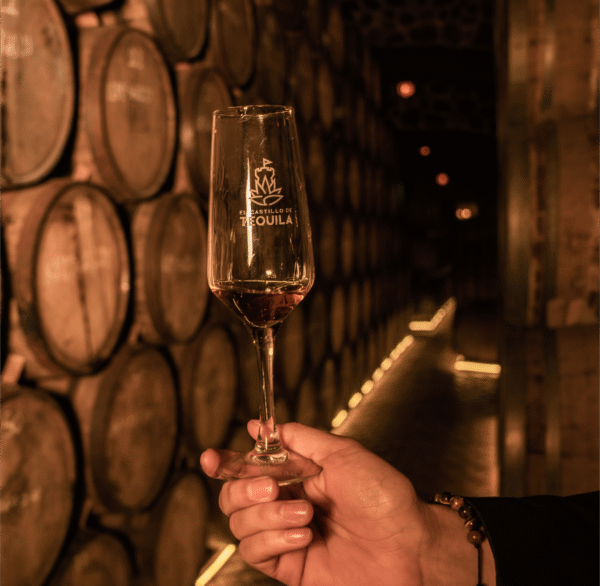 Tours y Experiencias Tequileras | El Castillo de Tequila
