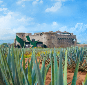Tours y Experiencias Tequileras | El Castillo de Tequila