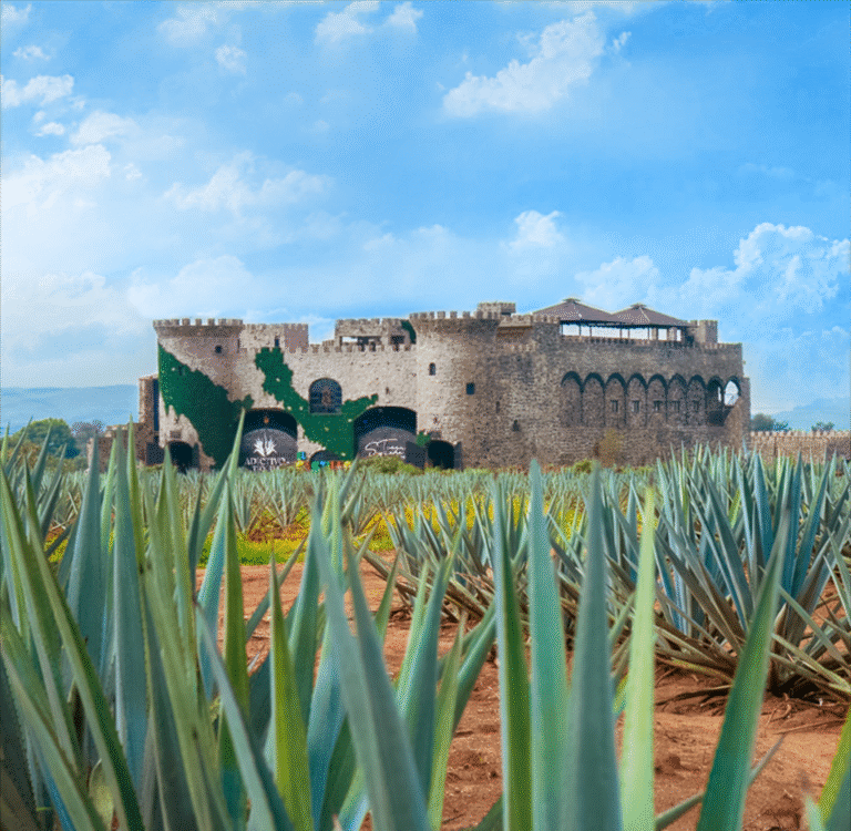 Tours y Experiencias Tequileras | El Castillo de Tequila
