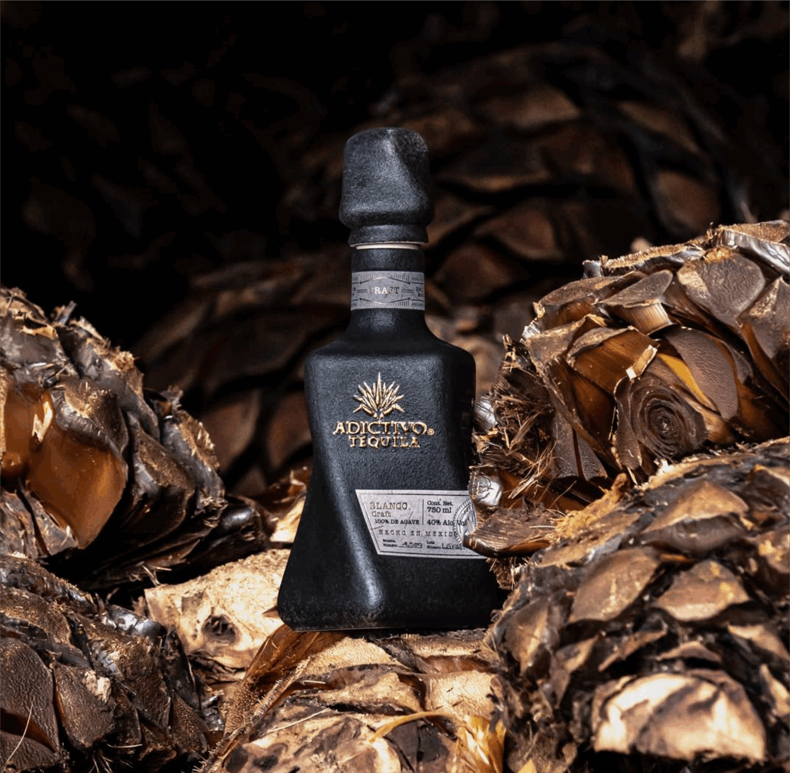 Tours y Experiencias Tequileras | El Castillo de Tequila