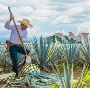 Inicio - Castillo Tequila